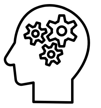 Domain Knowledge